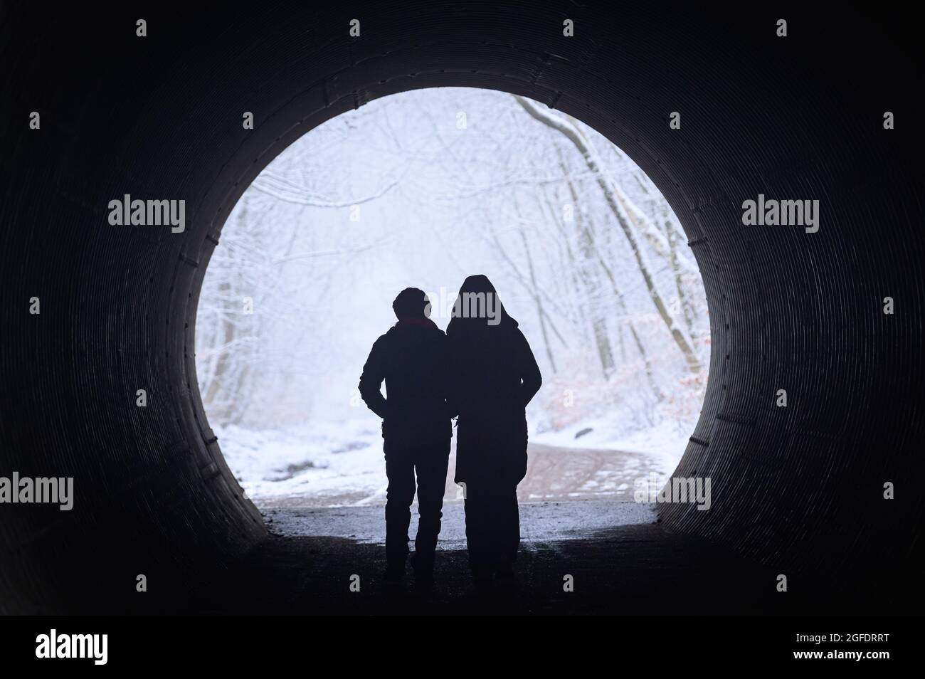 Tyldesley Loopline - Worsley Woods, Worsley. Former railway line Stock ...