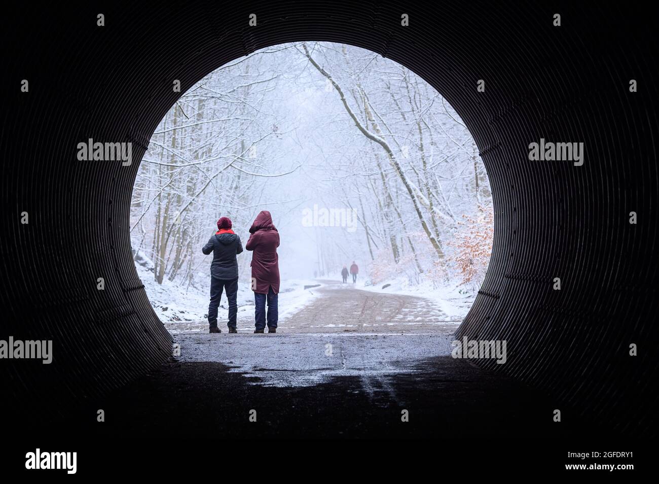 Tyldesley Loopline - Worsley Woods, Worsley. Former railway line Stock ...