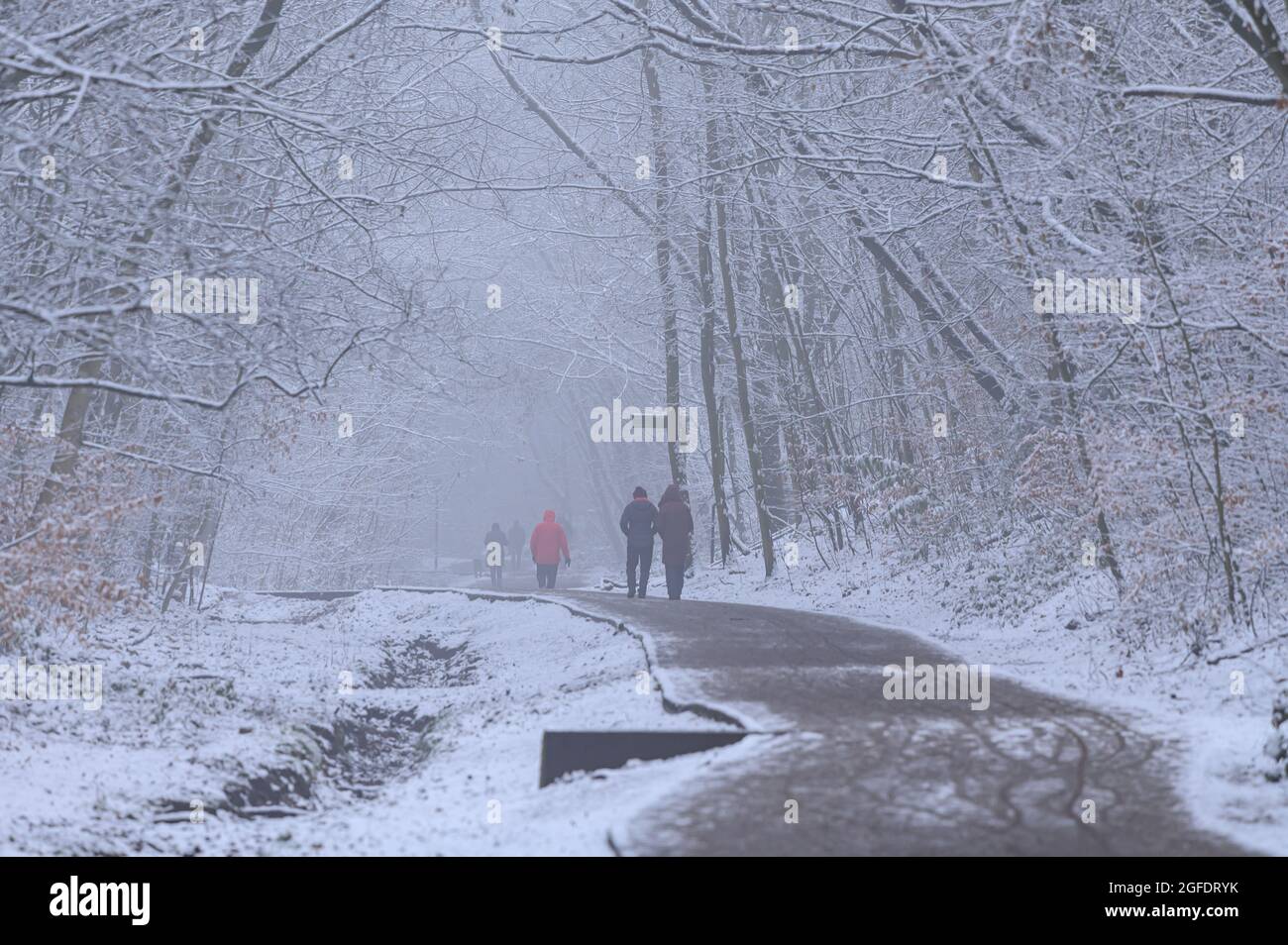 Tyldesley Loopline - Worsley Woods, Worsley. Former railway line Stock ...