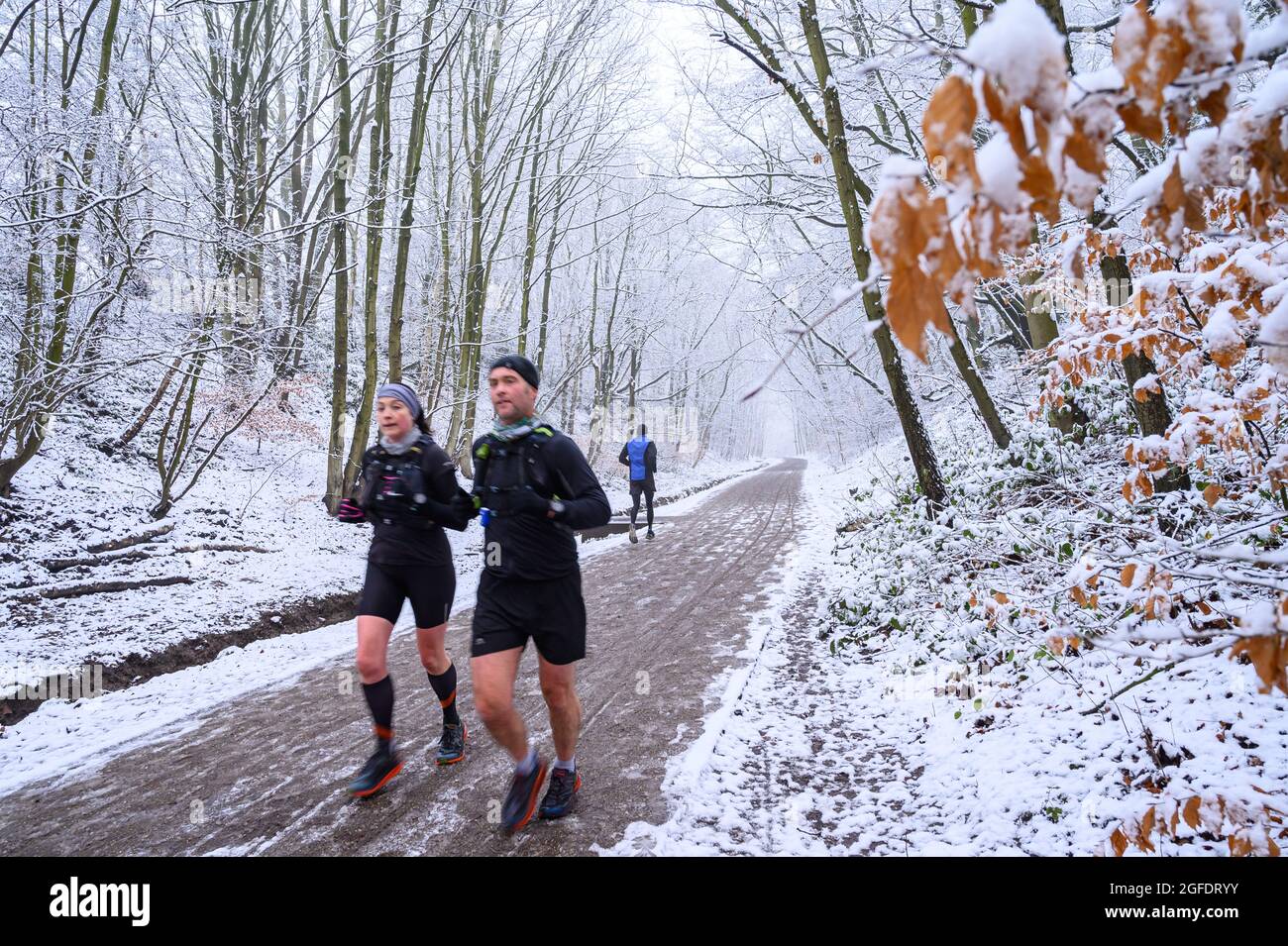 Tyldesley Loopline - Worsley Woods, Worsley. Former railway line Stock ...