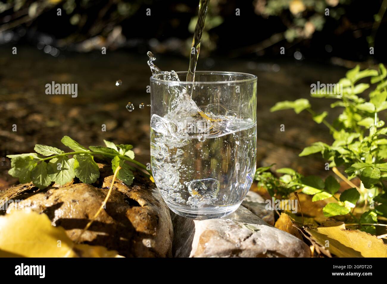 A glass is filled with pure water next to a river, pure water concept ...