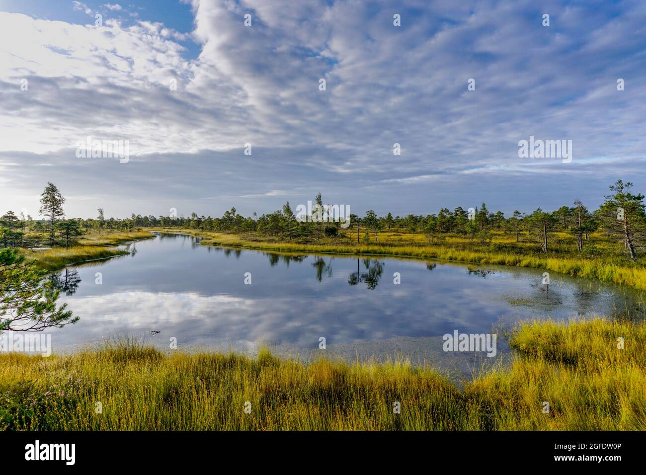 A raised bog and marsh landscape under an expressive sky Stock Photo ...