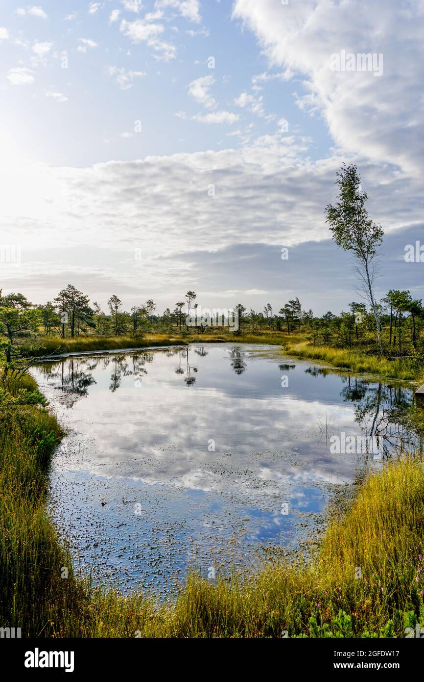A raised bog and marsh landscape under an expressive sky Stock Photo ...