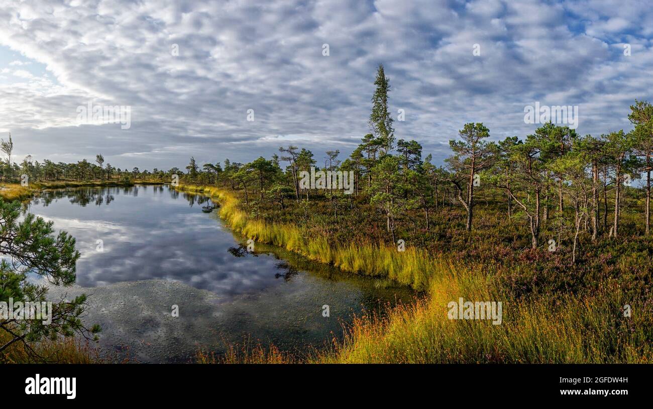 Raised bog pond hi-res stock photography and images - Alamy