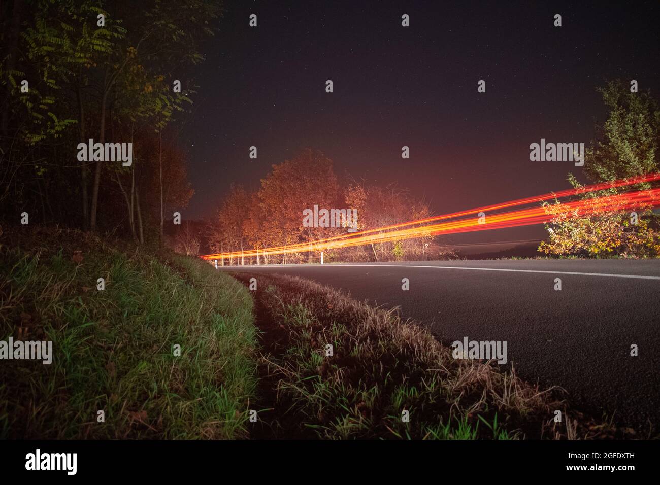 The night forest hi-res stock photography and images - Alamy