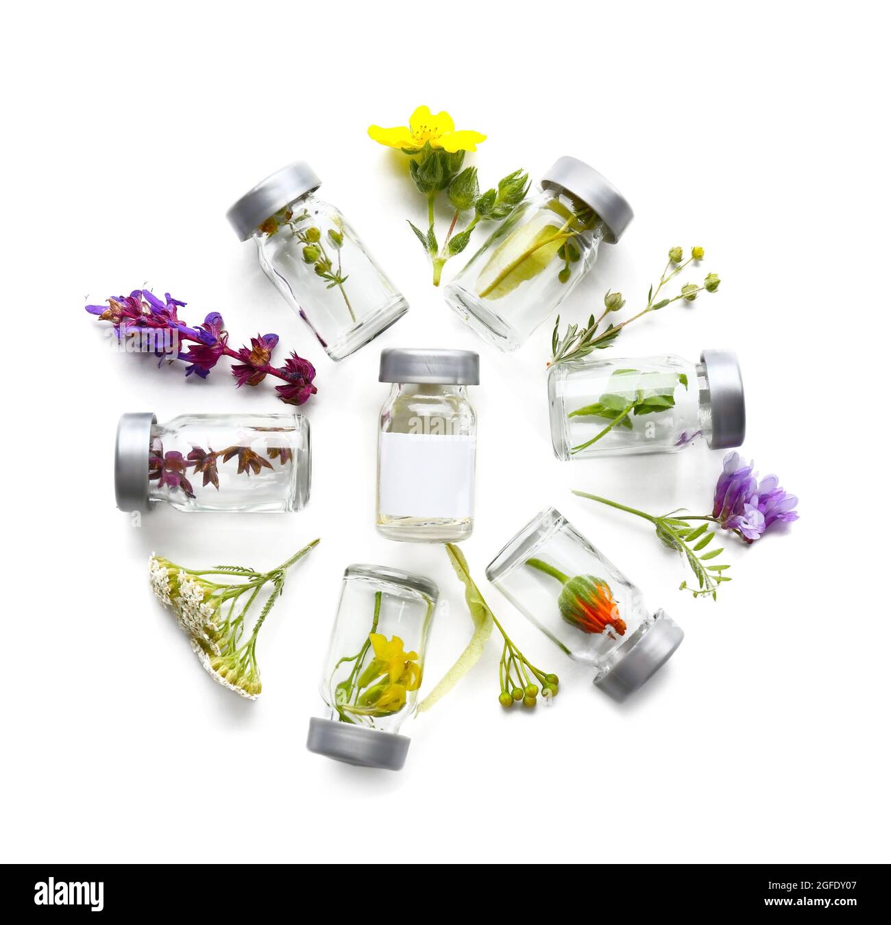 Different healing flowers on light background Stock Photo - Alamy