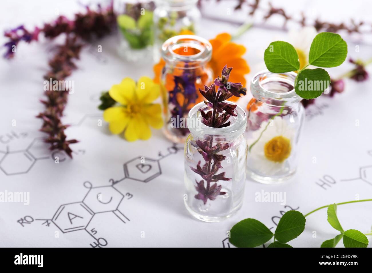 Different healing flowers in small glass bottles on paper with ...