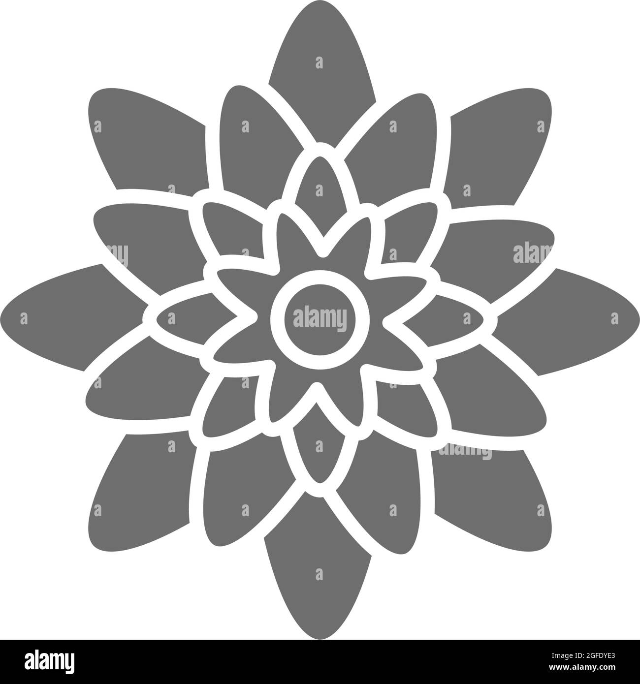 Agave, mexican flowers grey icon. Isolated on white background Stock ...