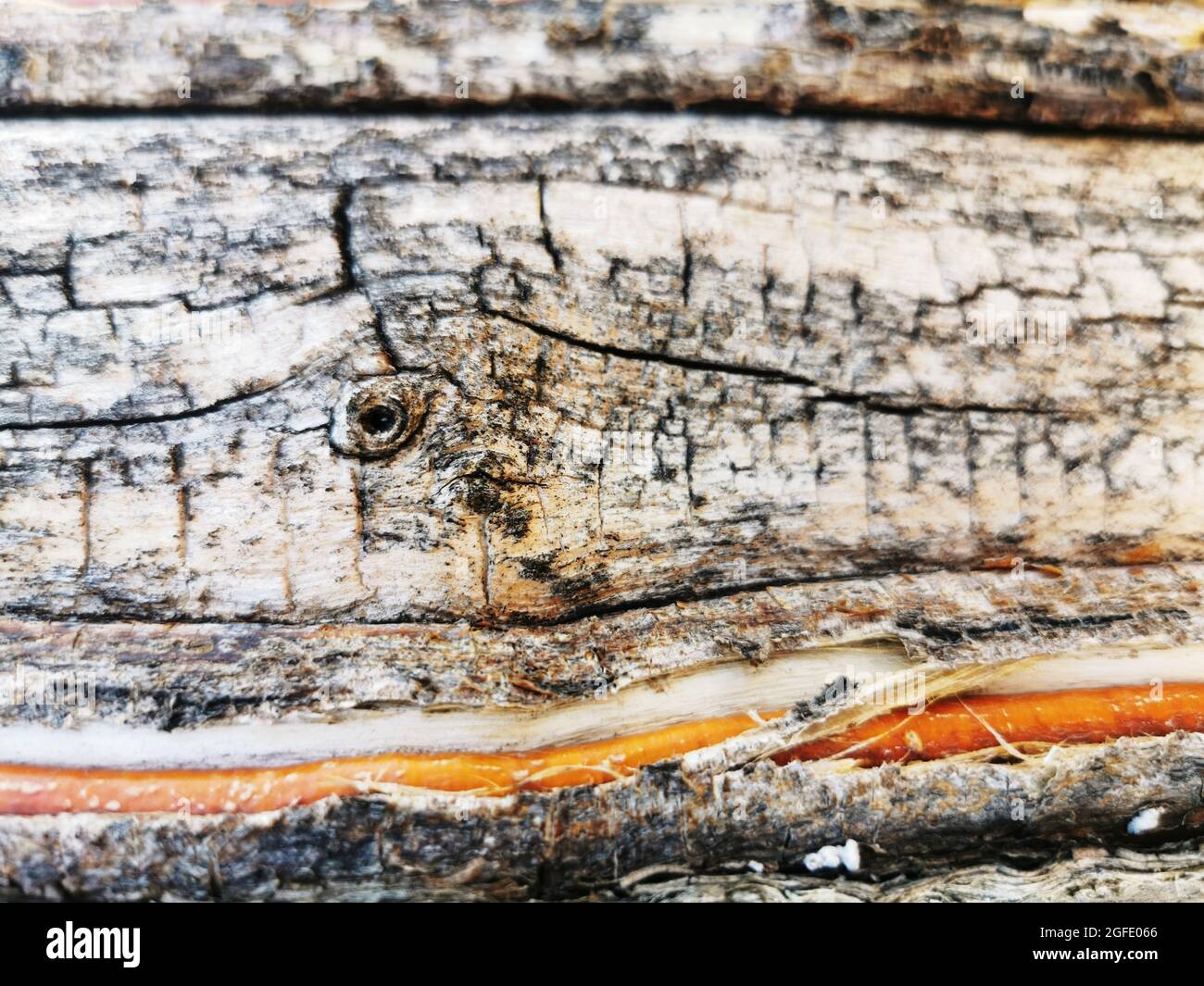 Closeup shot of an old and worn wood texture plank with cracks and ...
