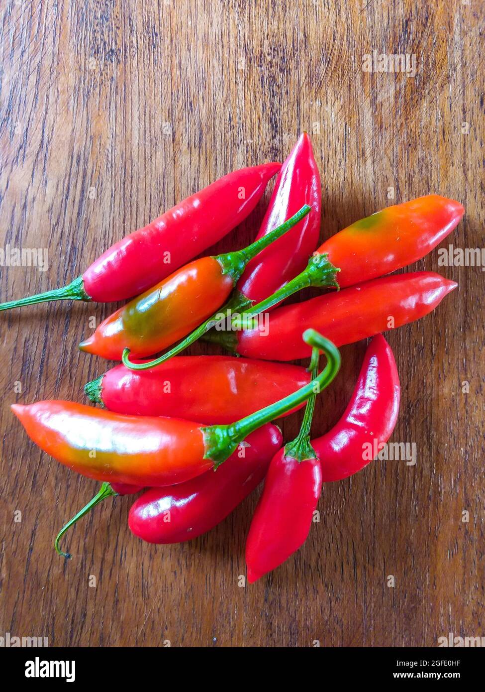Capsicum baccatum, pepper known as chili pepper or aji pepper, on a ...
