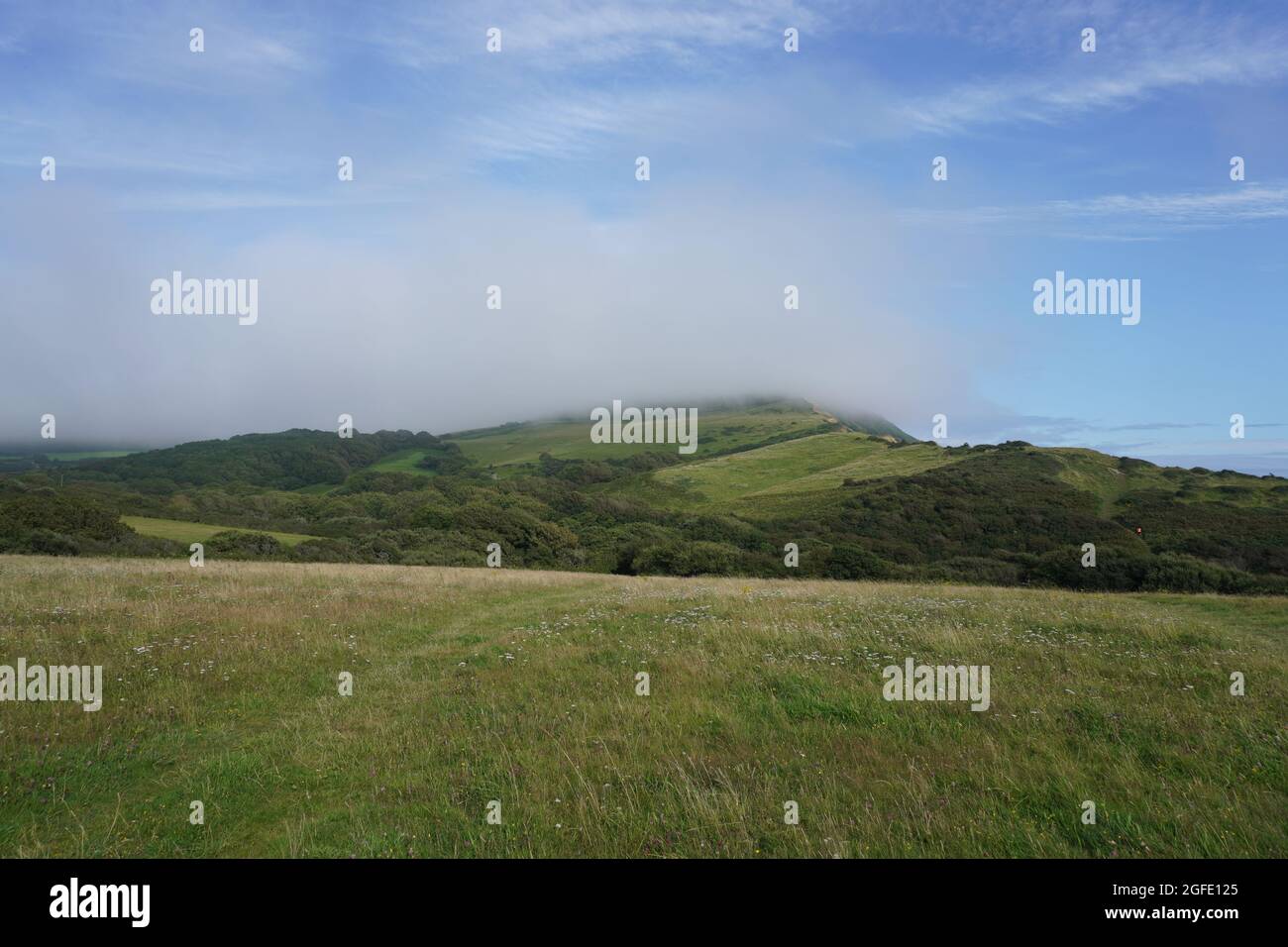 English golden cap hi-res stock photography and images - Alamy