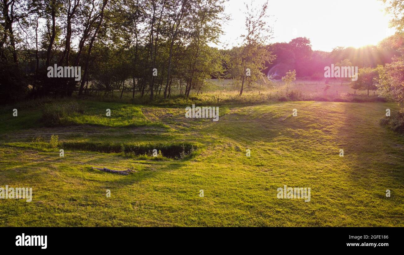 Green field on a sunny day Stock Photo - Alamy
