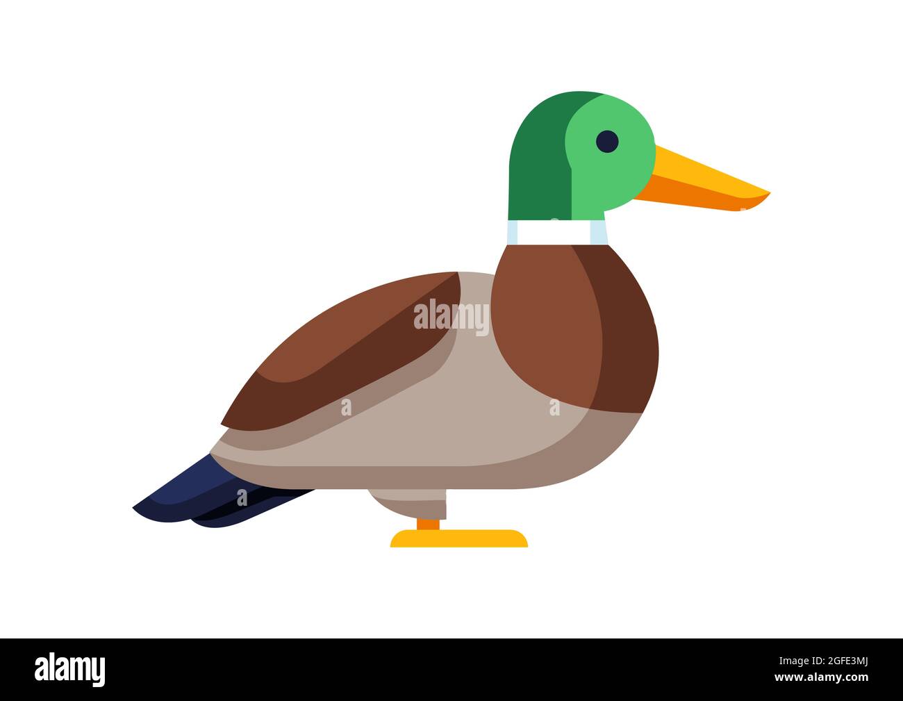 Illustration of stylized duck. Image of wild bird in simple style Stock ...