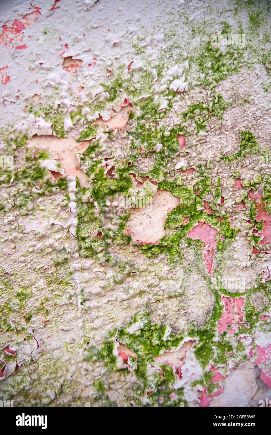 Effect of humidity on an old wall of residential Stock Photo - Alamy