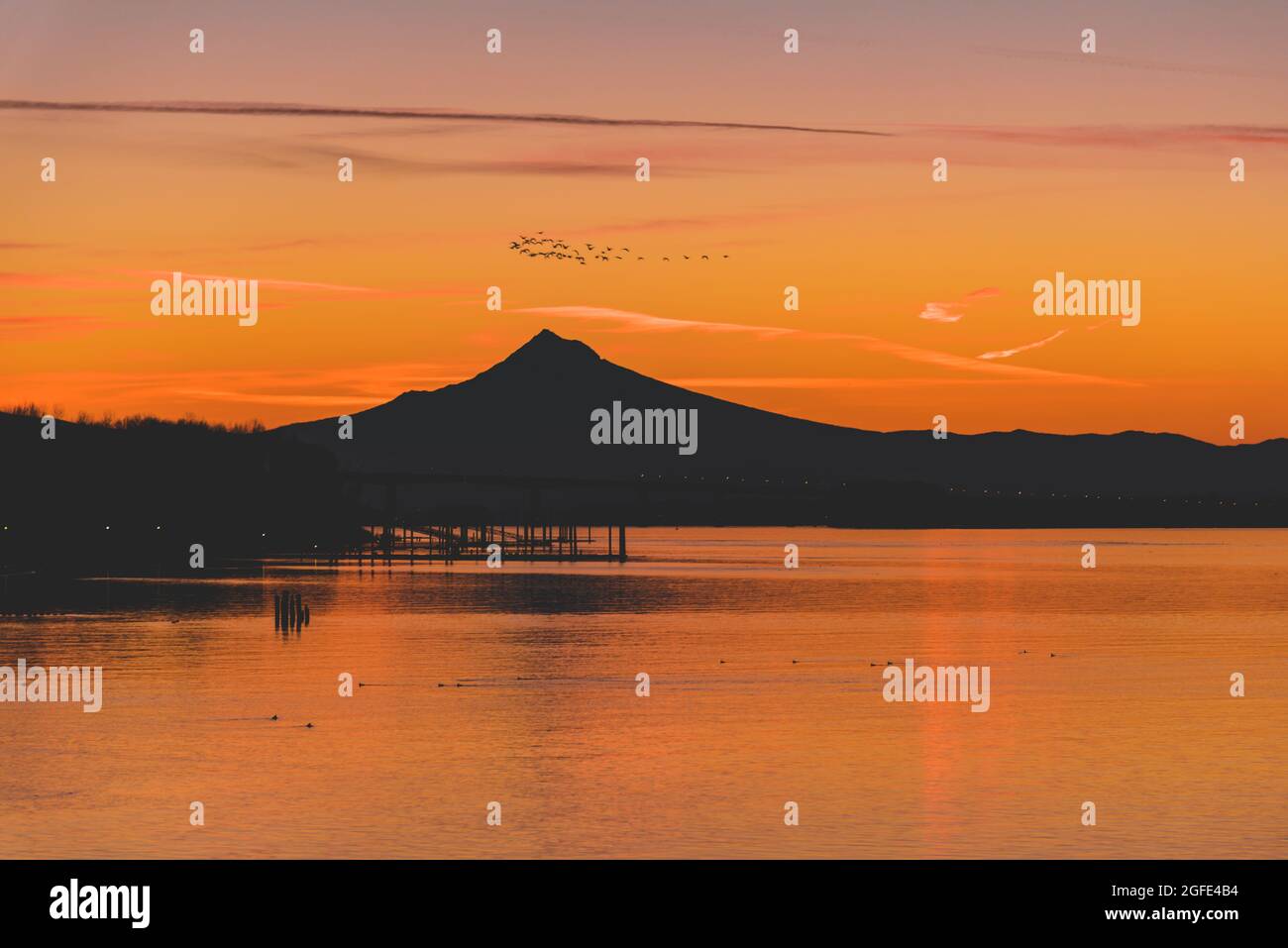 Landscape of birds flying over silhouetted Mt. Hood and Columbia River ...