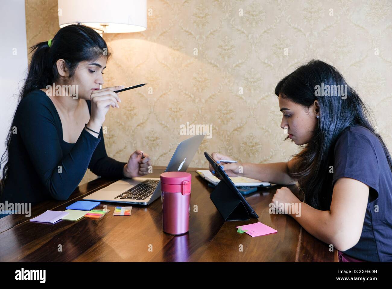 Two students studying asian and black hi-res stock photography and ...