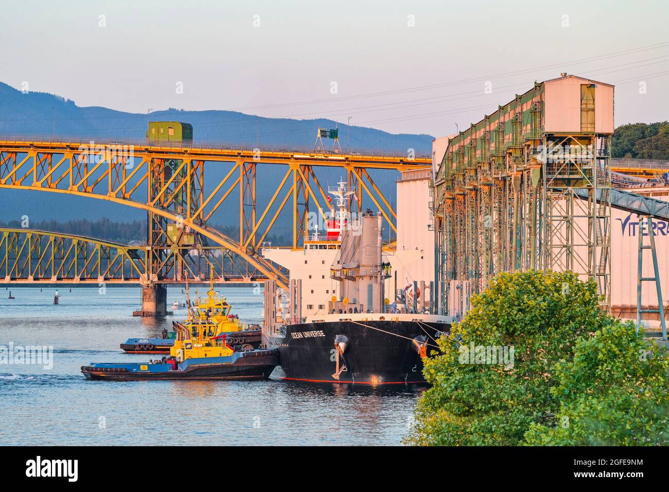 Ocean Universe ship at Viterra Cascadia Grain Terminal, Port of ...