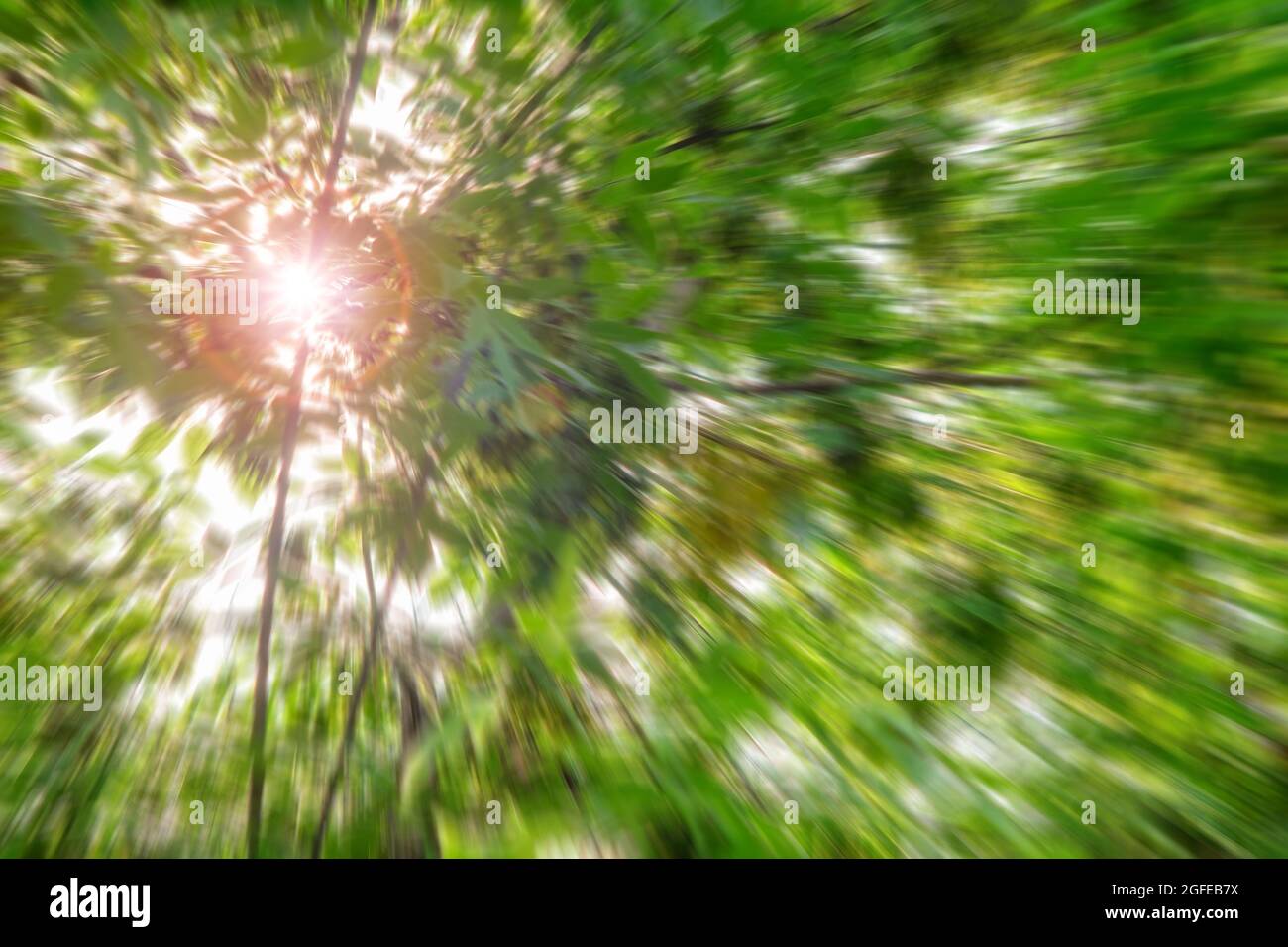 glare, the rays of the bright sun that radiate from the light source ...