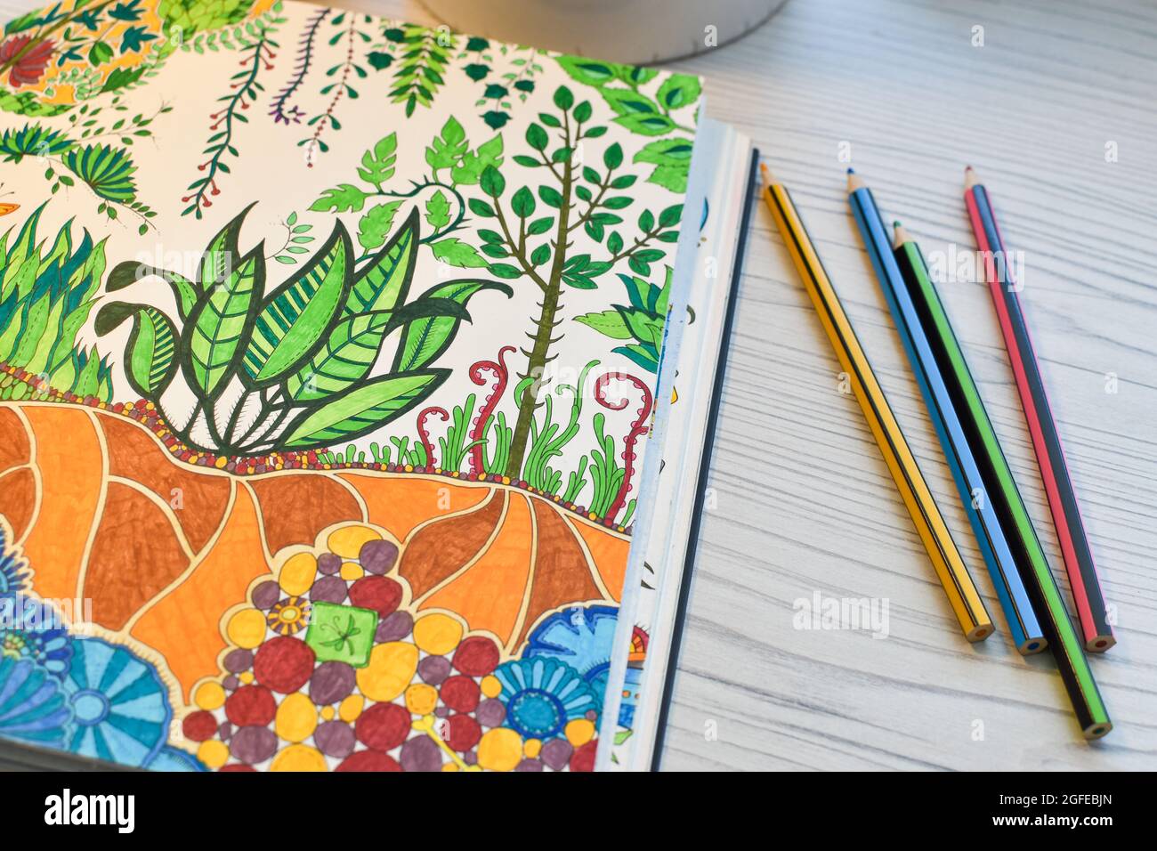 Draw plants hi-res stock photography and images - Alamy