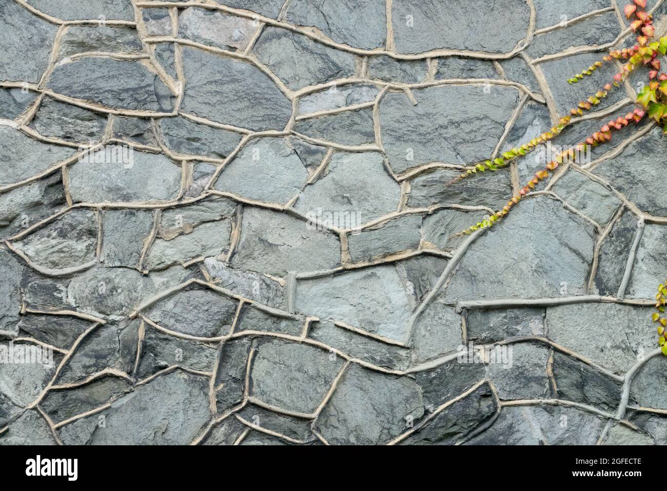 Plant wall texture hi-res stock photography and images - Alamy