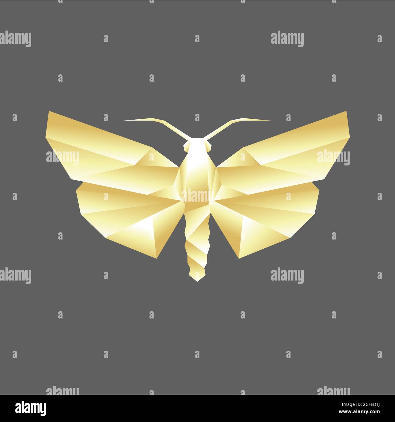 Vector. Abstract polygonal butterfly. Geometric linear butterfly ...