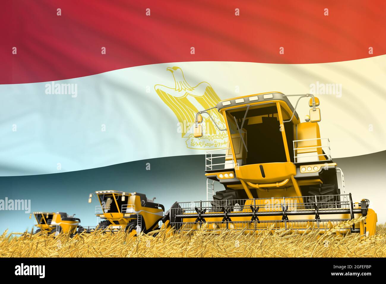 yellow rye agricultural combine harvester on field with Egypt flag ...
