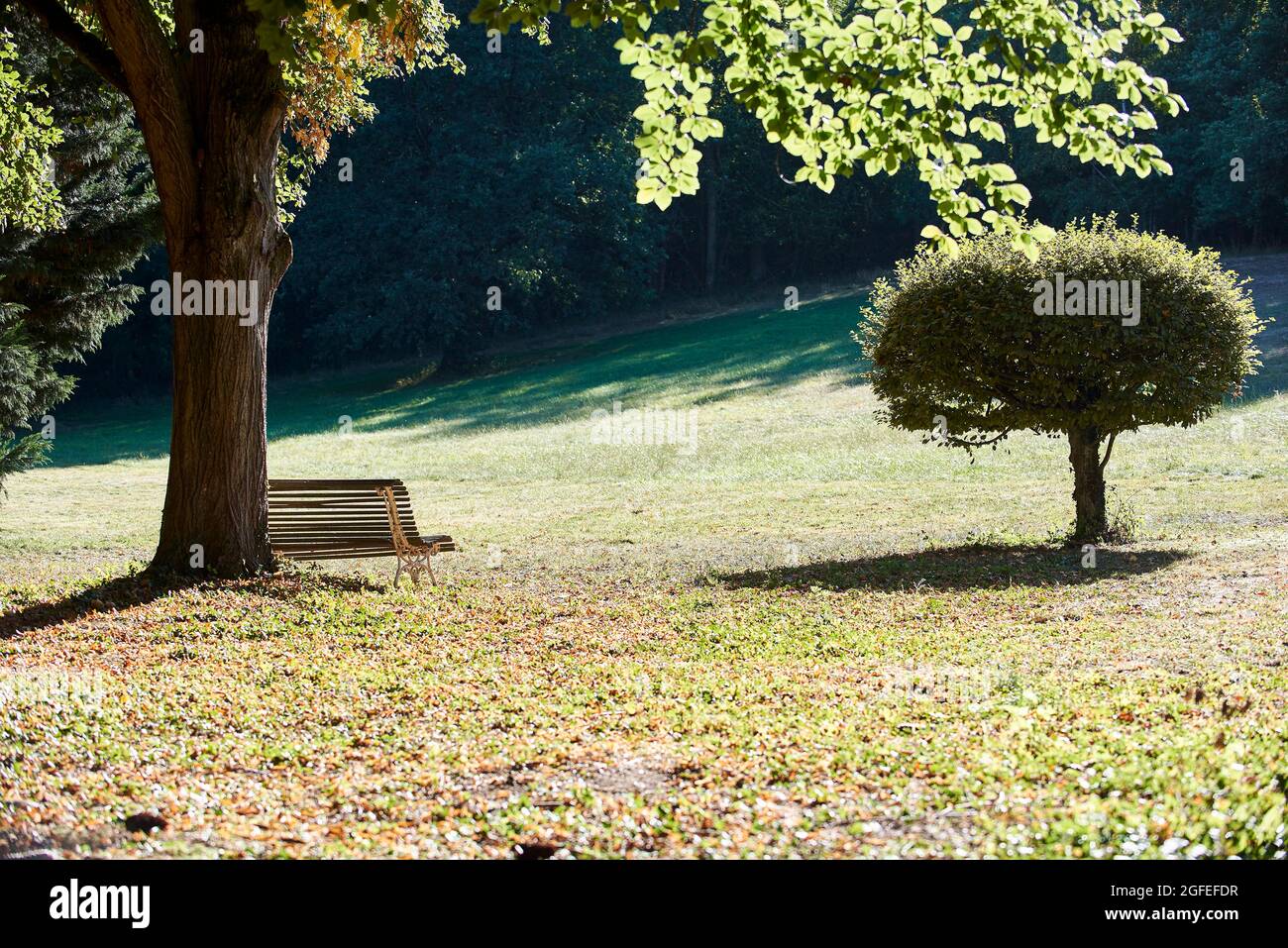 Empty bench in public park Stock Photo - Alamy