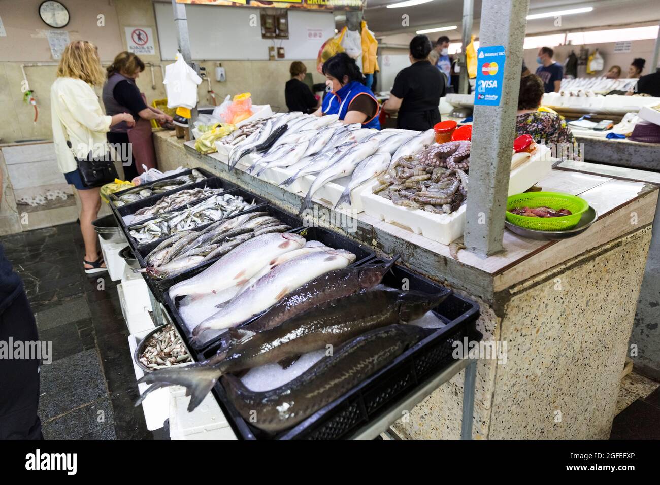 Fresh seafood market in Batumi Georgia. Live fish in ice. Flounder, red ...