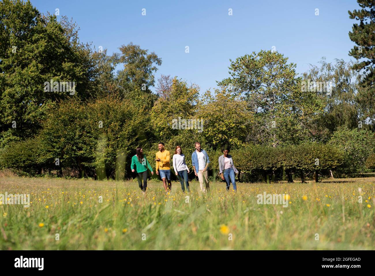 Man walking on meadow with trees hi-res stock photography and images ...