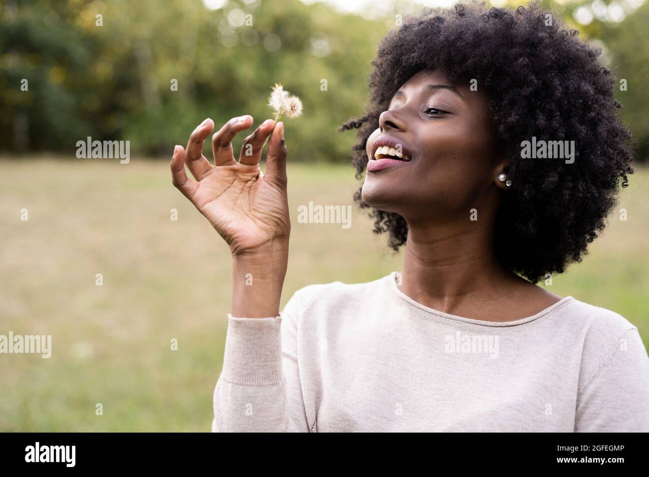 Beautiful woman blowing flower hi-res stock photography and images - Alamy