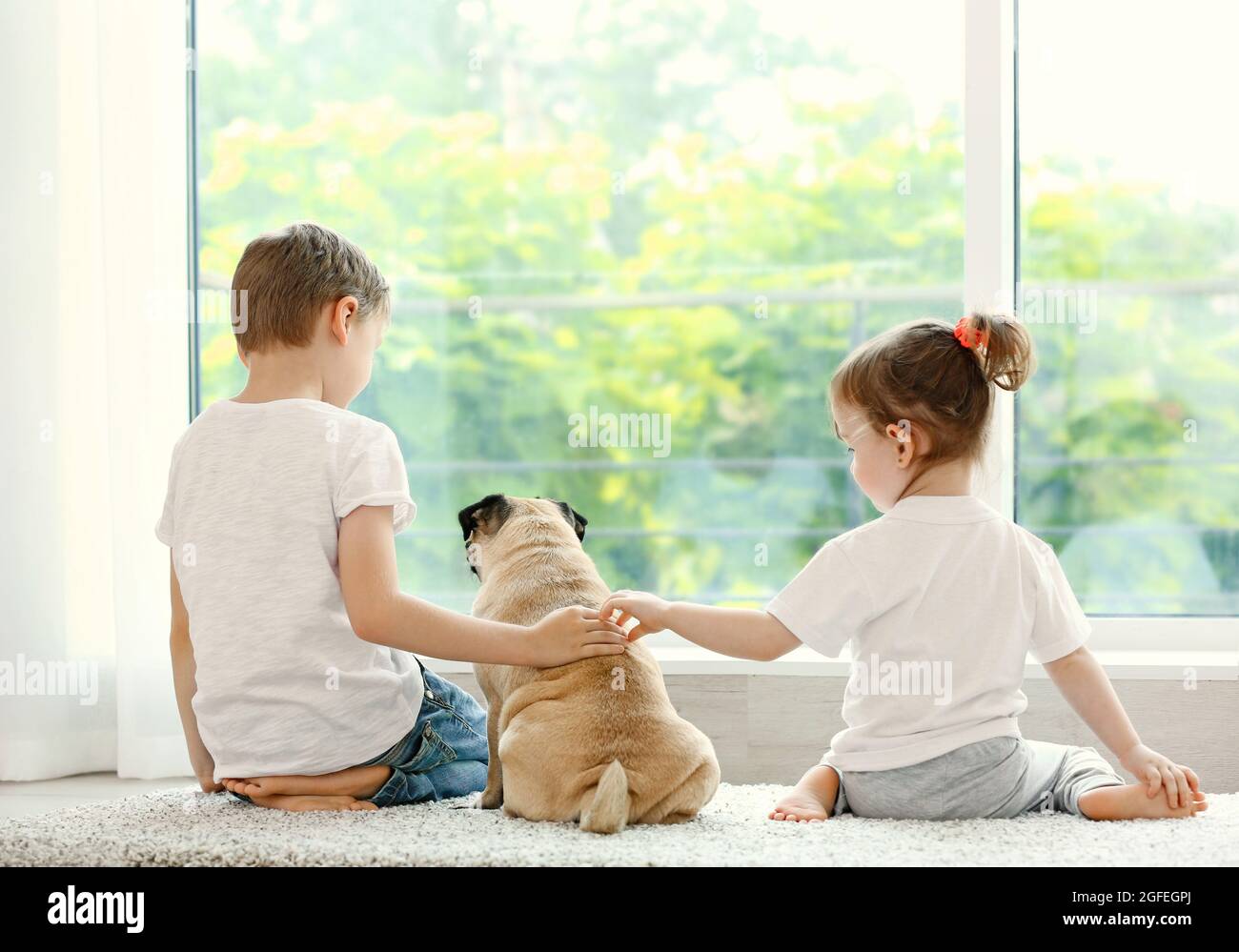 Back of kids and pug at home Stock Photo - Alamy