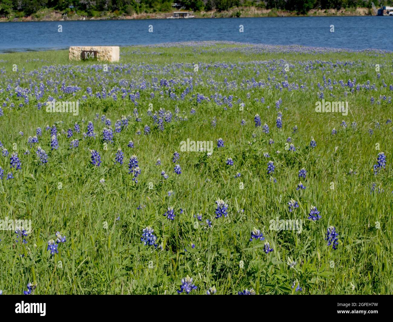 Coahuiltecan hi-res stock photography and images - Alamy