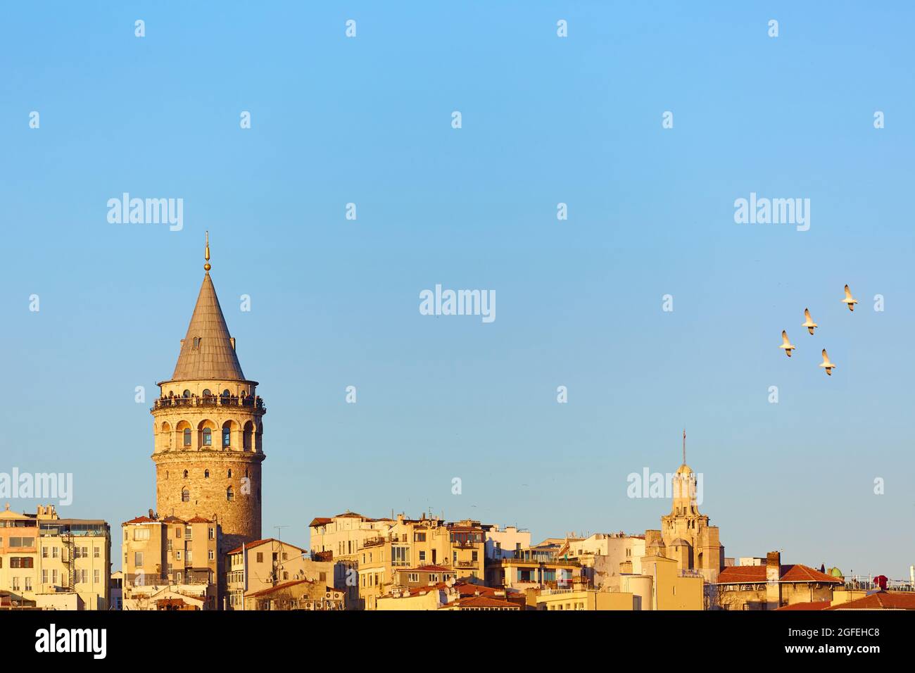 Istanbul cityscape in Turkey with Galata Tower, 14th-century city ...