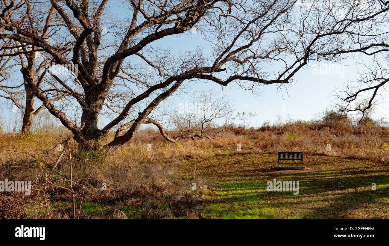 Commons Ford Ranch Metropolitan Park, Austin, Travis County, Texas, USA ...