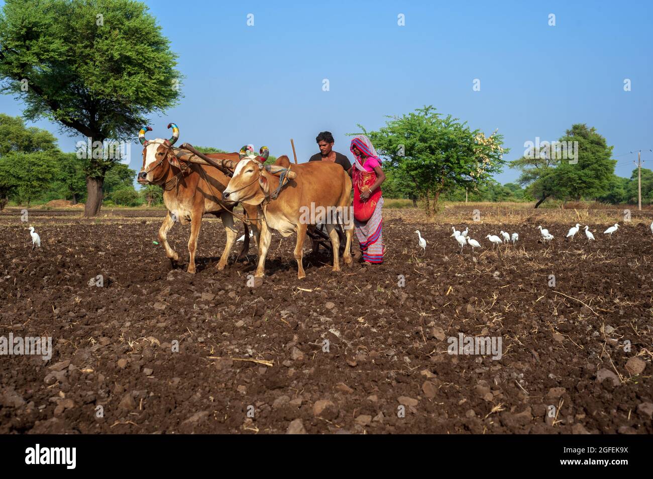 Rural woman farmer with plough hi-res stock photography and images - Alamy