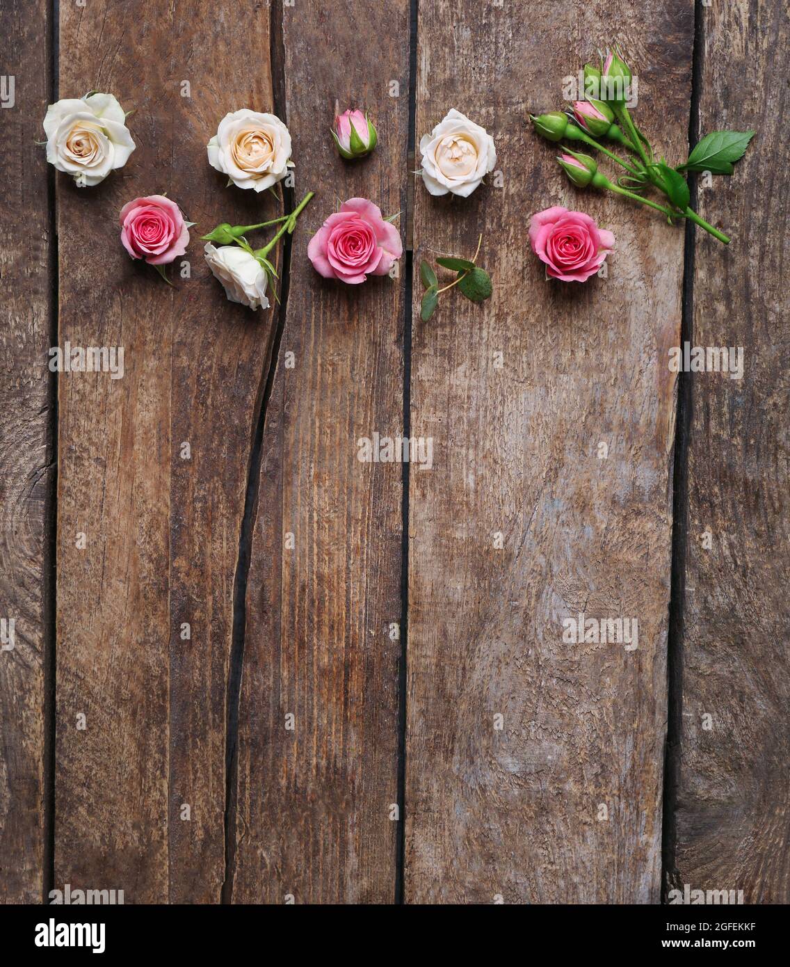 Assorted roses heads on wooden background Stock Photo - Alamy