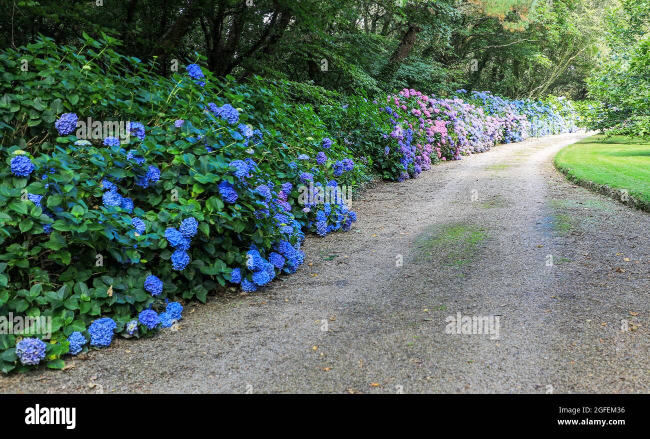Driveway gardens hi-res stock photography and images - Alamy