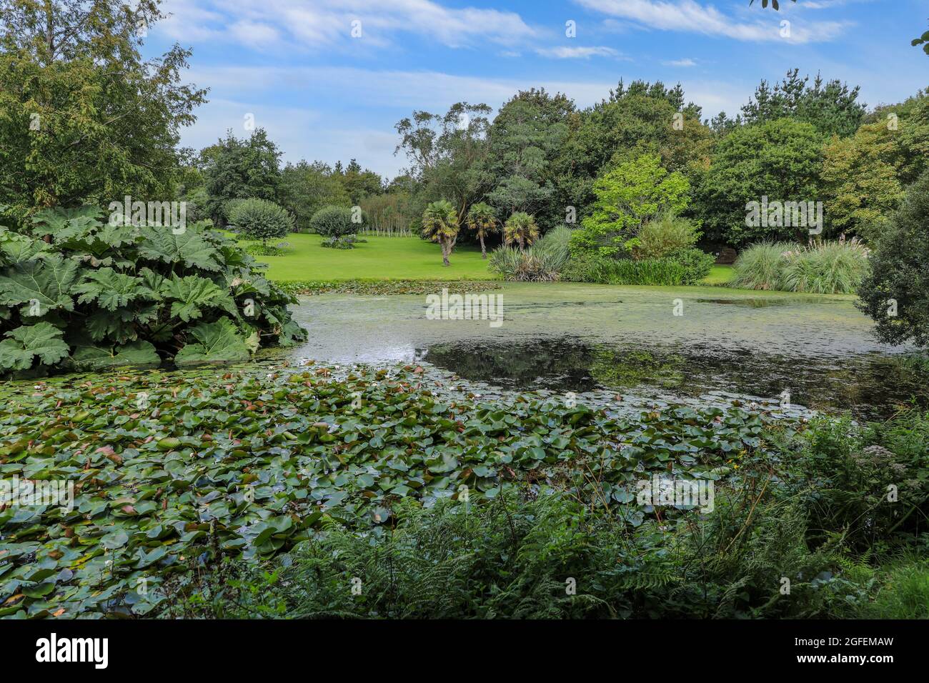 Bonython Estate Gardens, Garden, Helston, Cornwall, England, UK Stock ...