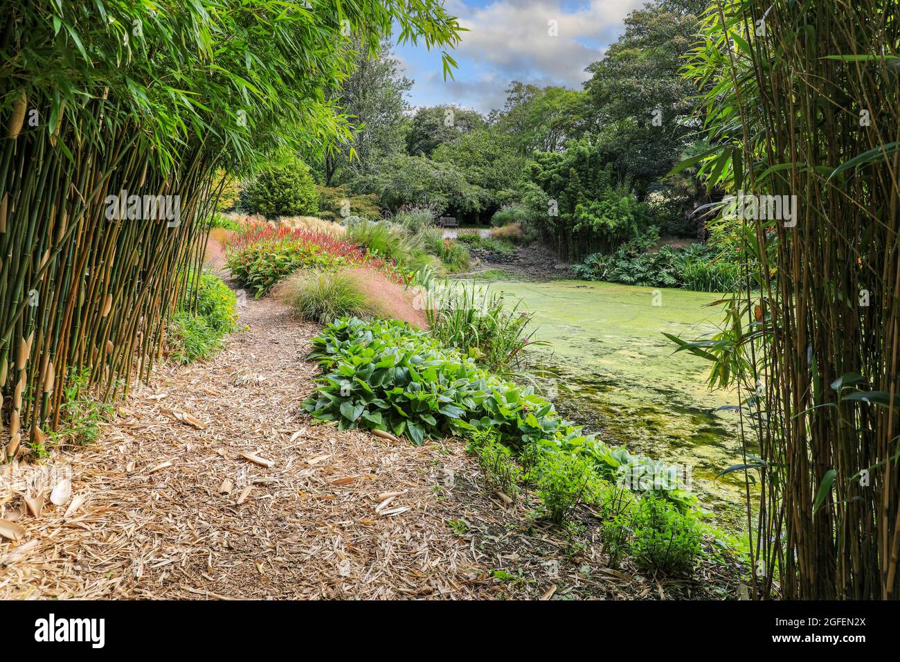 Bonython Estate Gardens, Garden, Helston, Cornwall, England, UK Stock ...