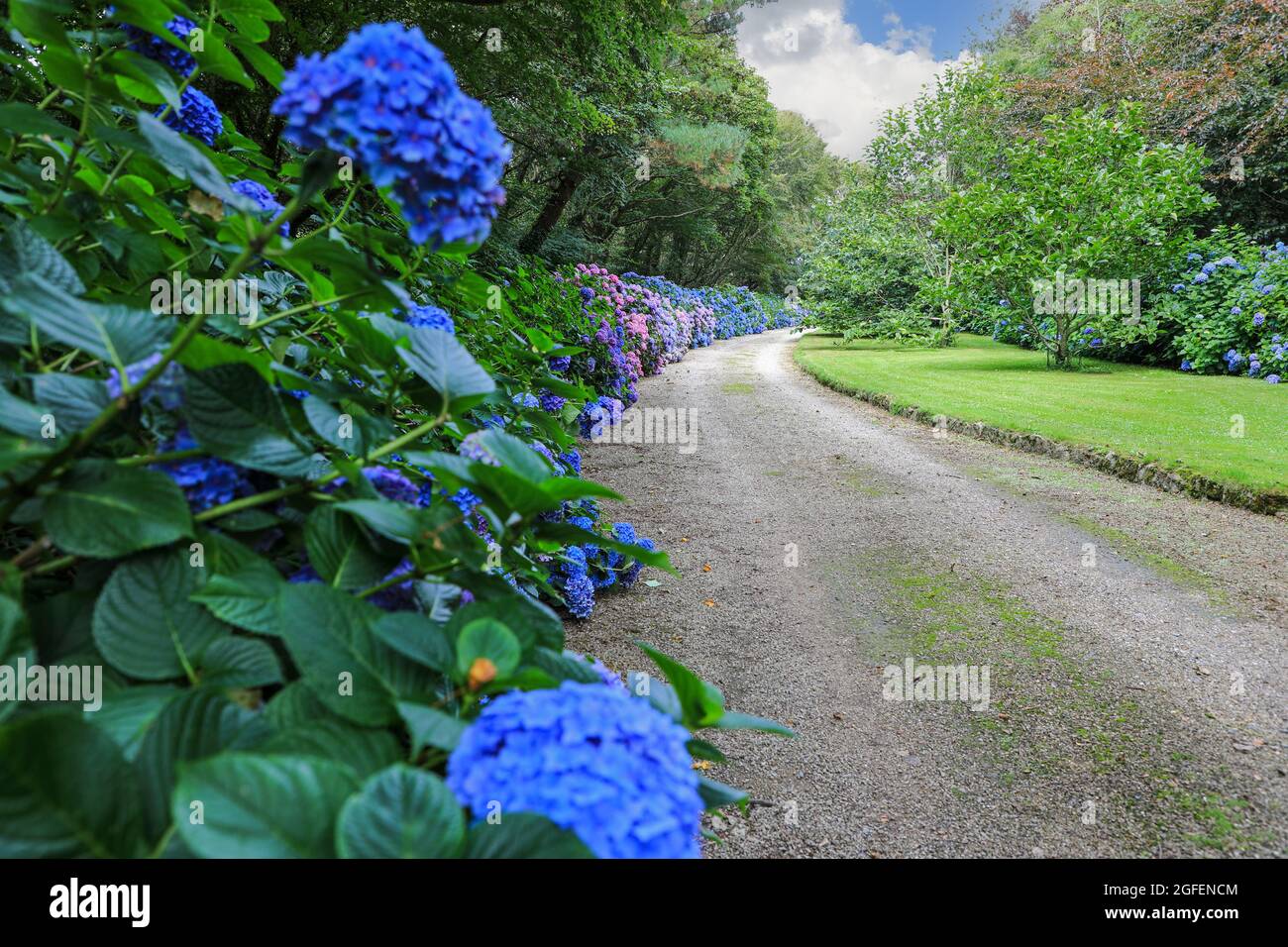 Driveway gardens hi-res stock photography and images - Alamy