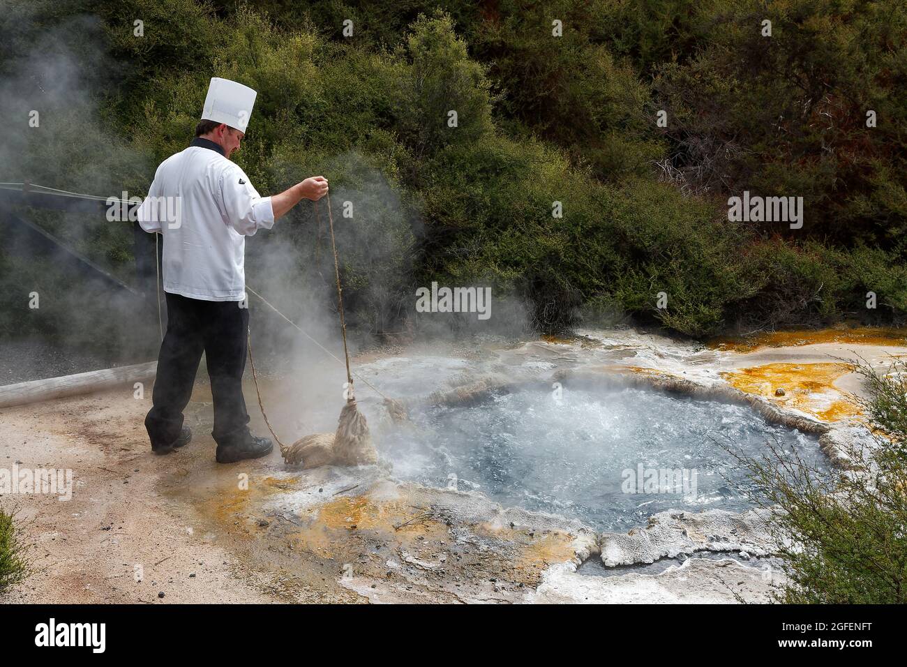 Maori chef cooking food in baskets, hot geothermal pool, steam, boiling ...