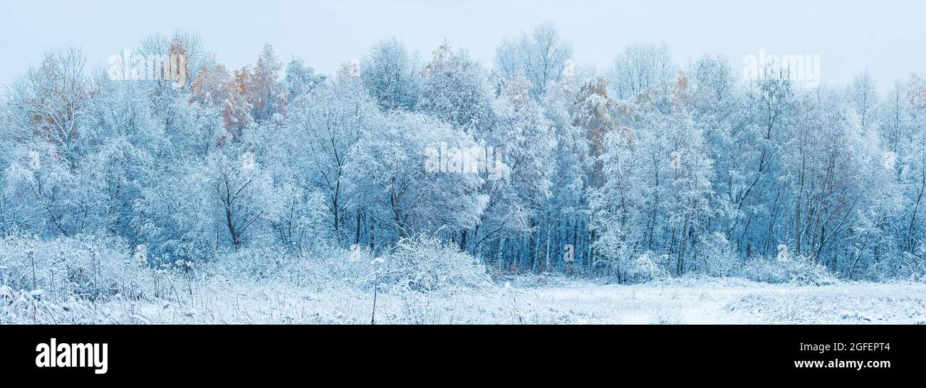 Snowy area hi-res stock photography and images - Alamy