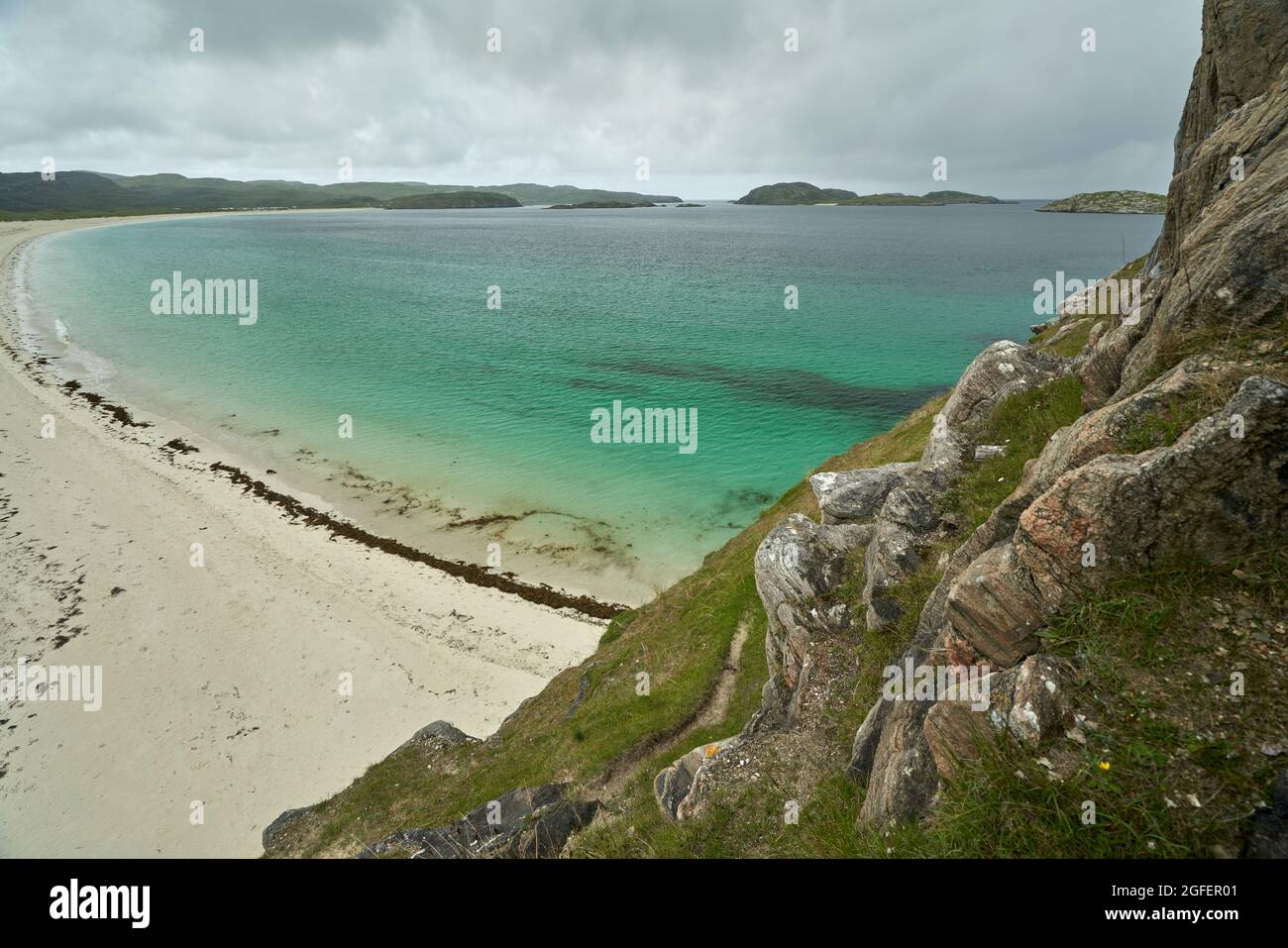 Beautiful wildflowers on the machir by Reef Beach (Traigh na Beirigh ...