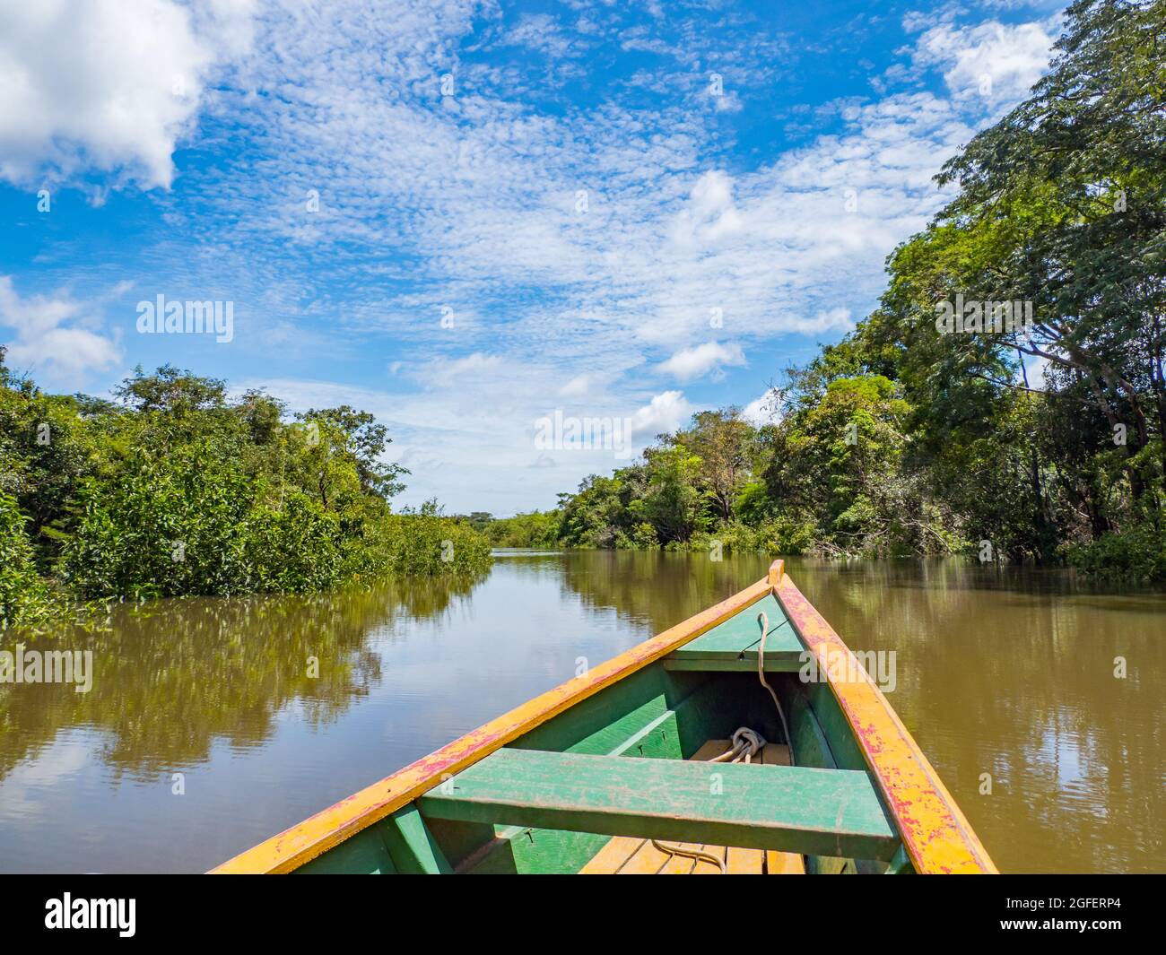 View from the wooden boat on the wall of green tropical forest in the ...