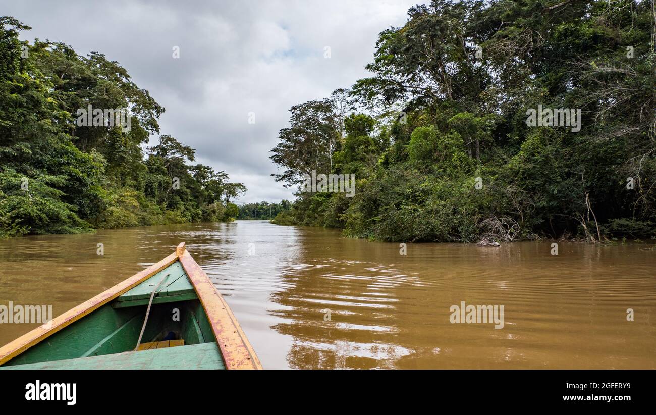 View from the wooden boat on the wall of green tropical forest of te ...
