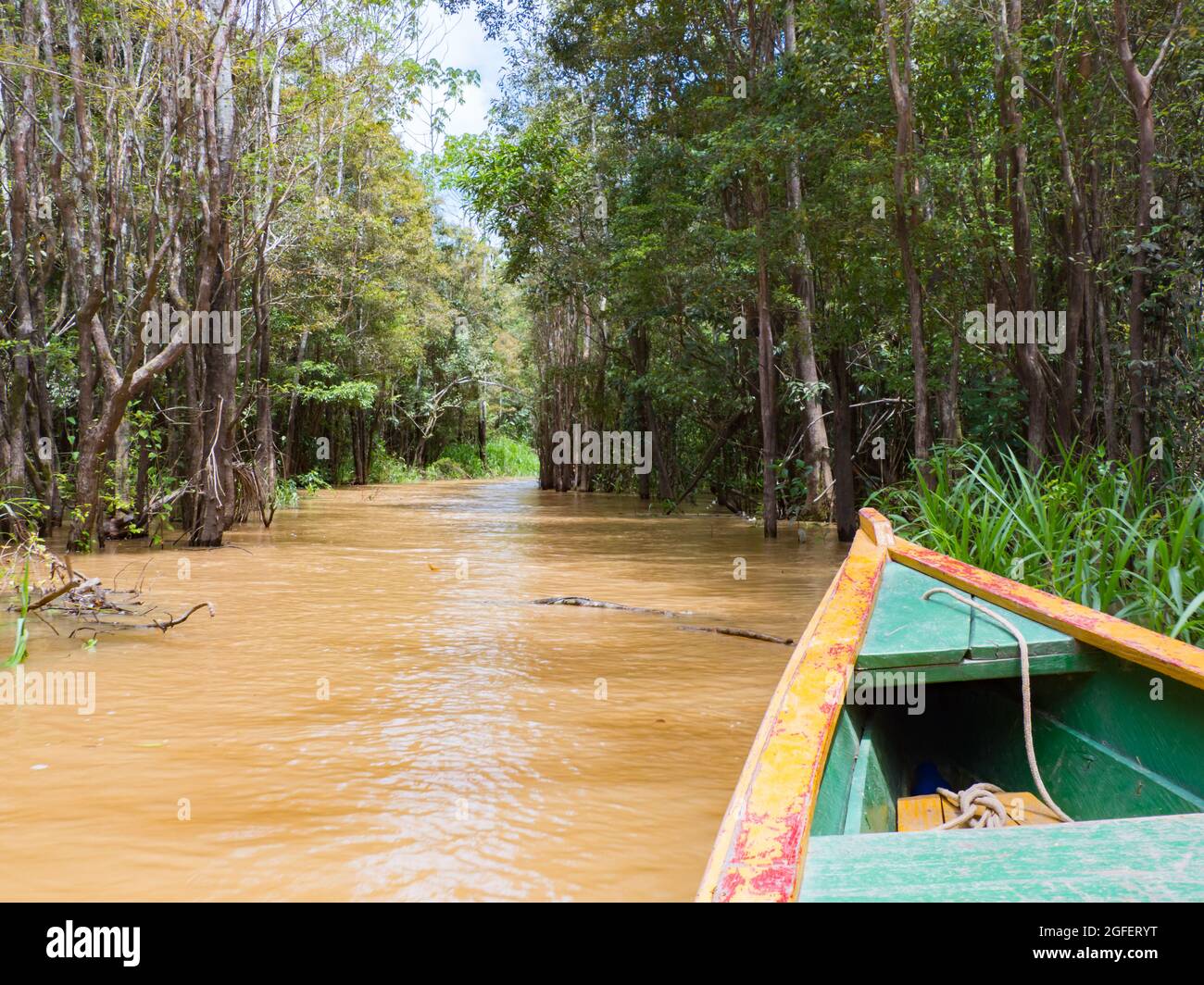 View from the wooden boat on the wall of green tropical forest in the ...