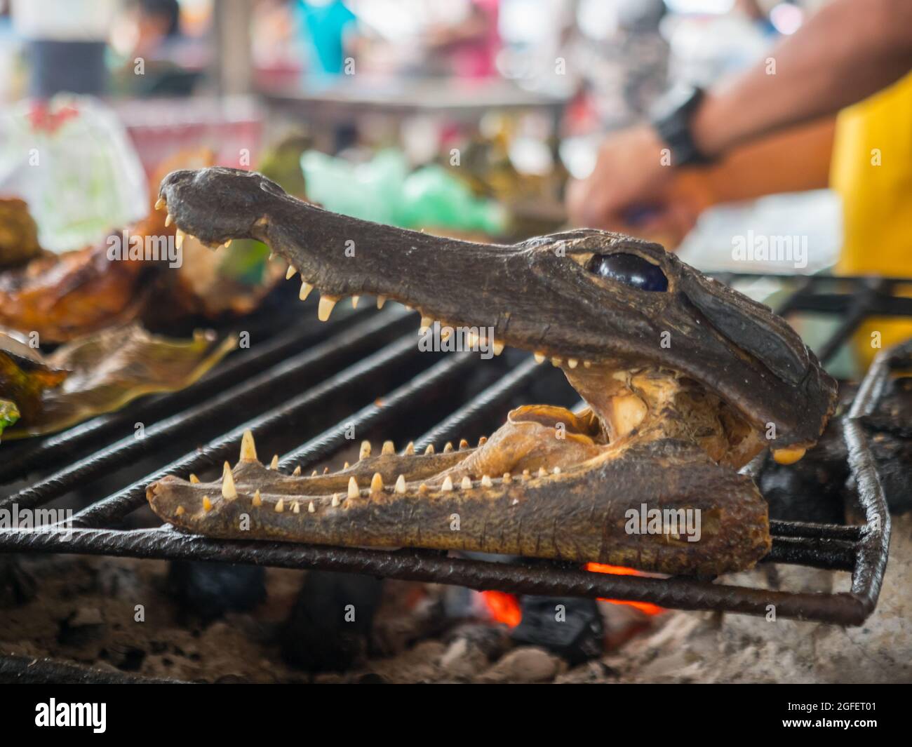 Iquitos, Peru - December 2019: Baked caiman head in the bazaar on the ...