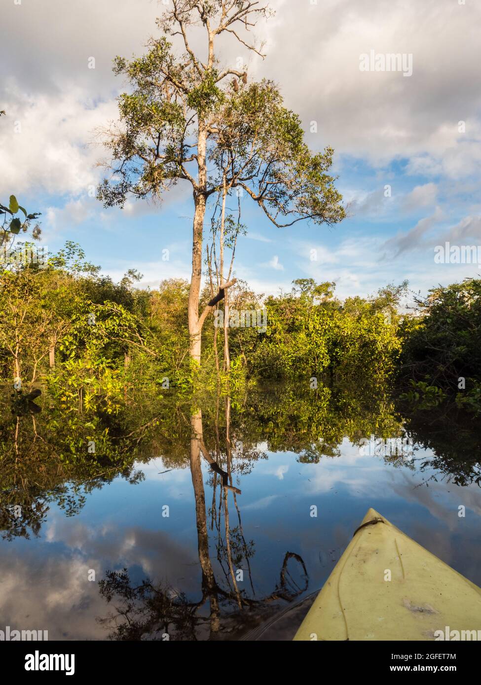 Magic Amazonia.View from the kayak during navigation during high water ...