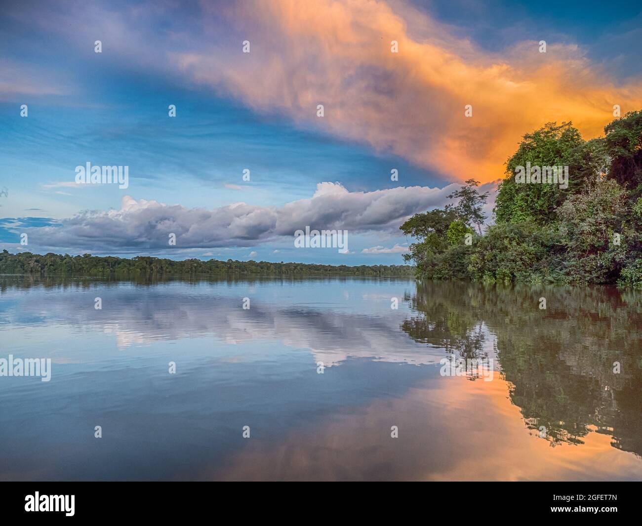 Sunset view of Coati Lagoon near the Javari River, the tributary of the ...