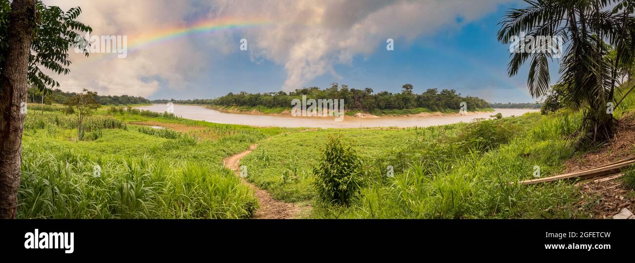 Javari River, the tributary of the Amazon River, Amazonia.Selva on the ...